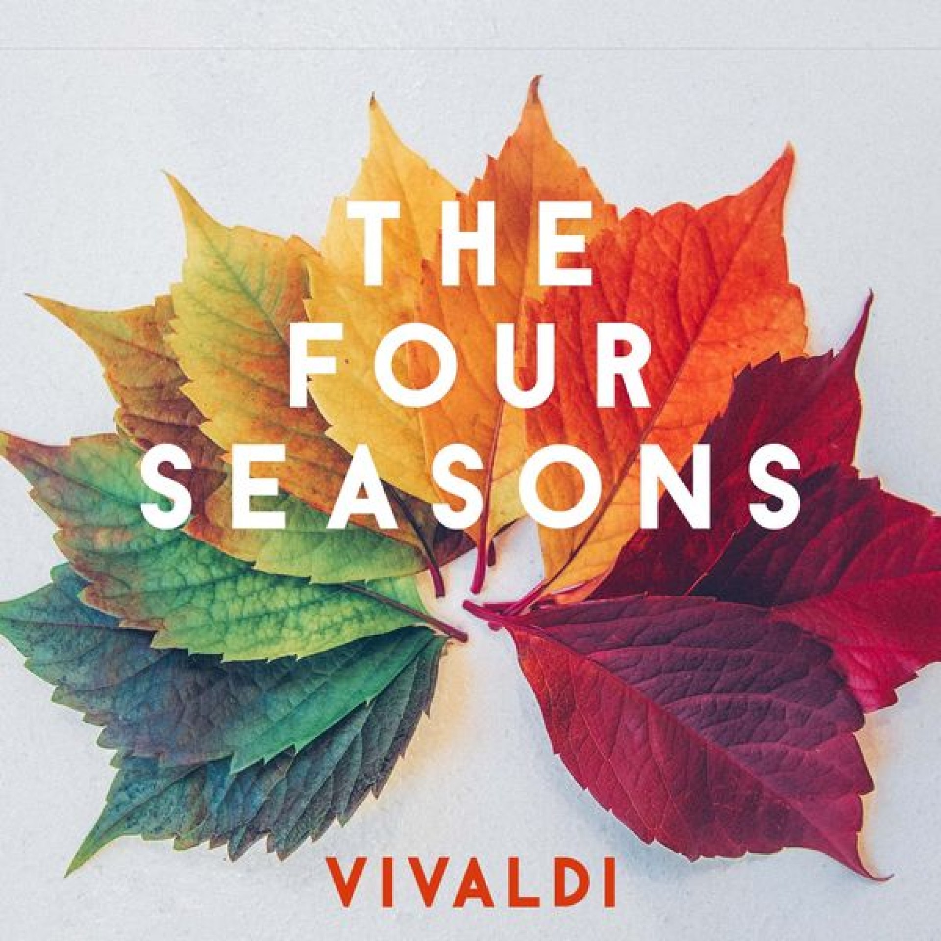 The 4 Seasons Of Vivaldi